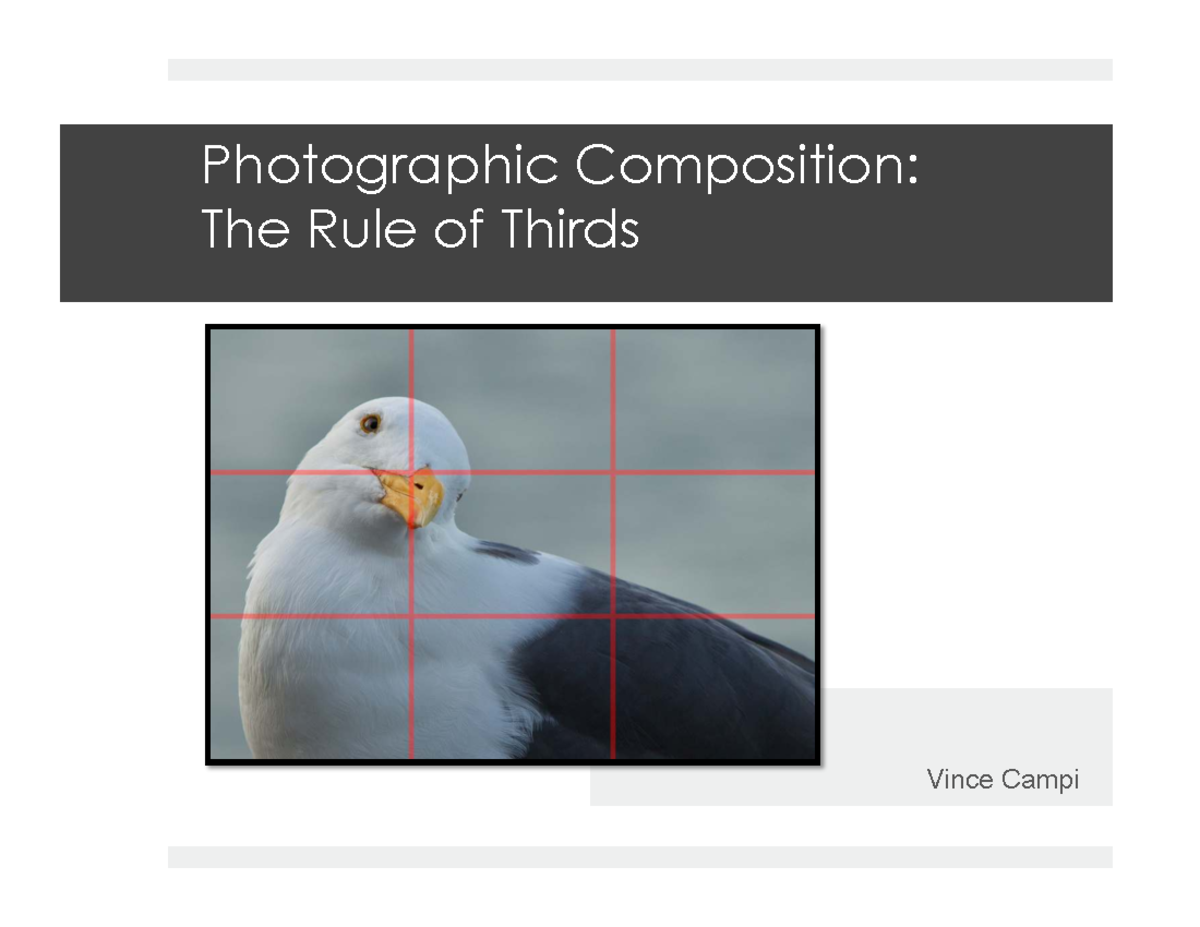 Rule of Thirds: Lecture Notes for Photojournalism (PHOTJOURN 101) - Studocu