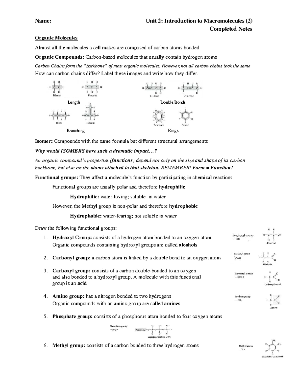 Unit 2: Intro to Macromolecules - Completed Notes (BIO 101) - Studocu