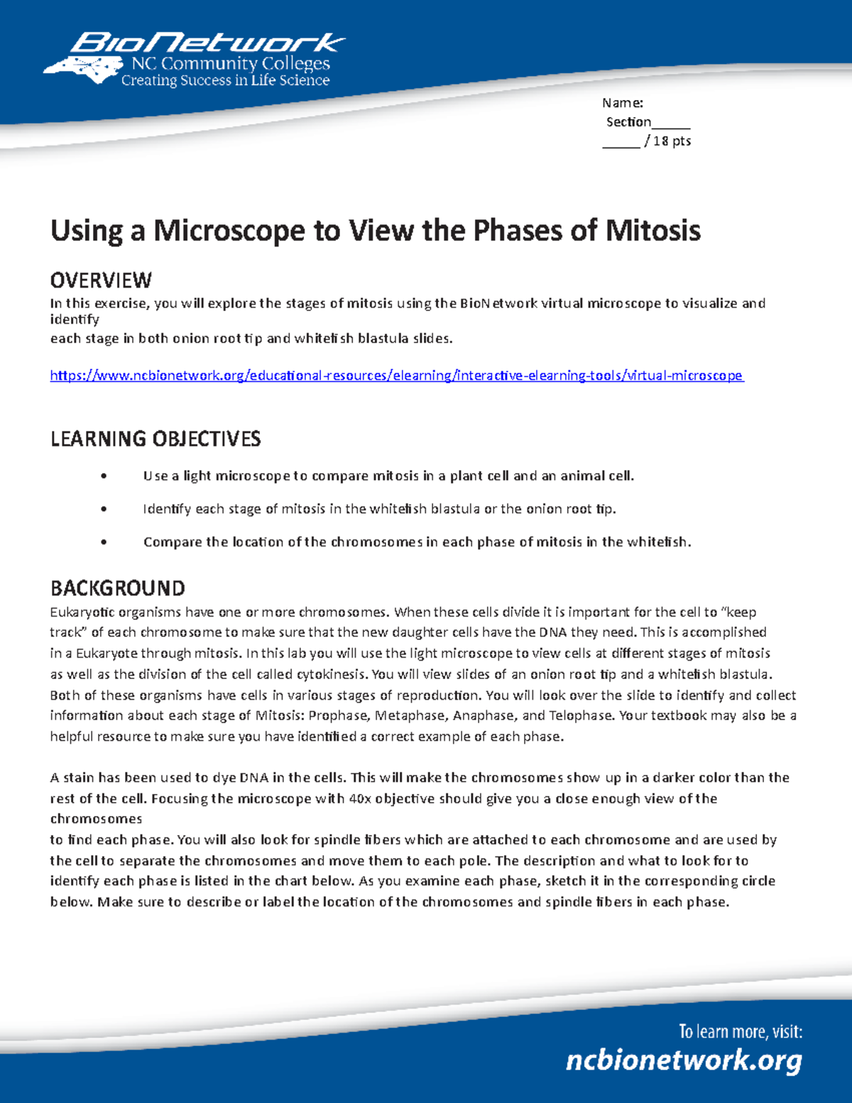 Mitosis Lab Handout NC Bio Network - Using a Microscope to View the ...