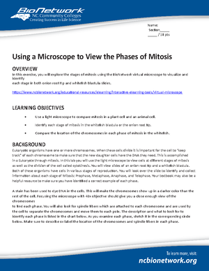 Chapter 6 ARG HW - N/A - Active Reading Guide for Chapter 6 ...