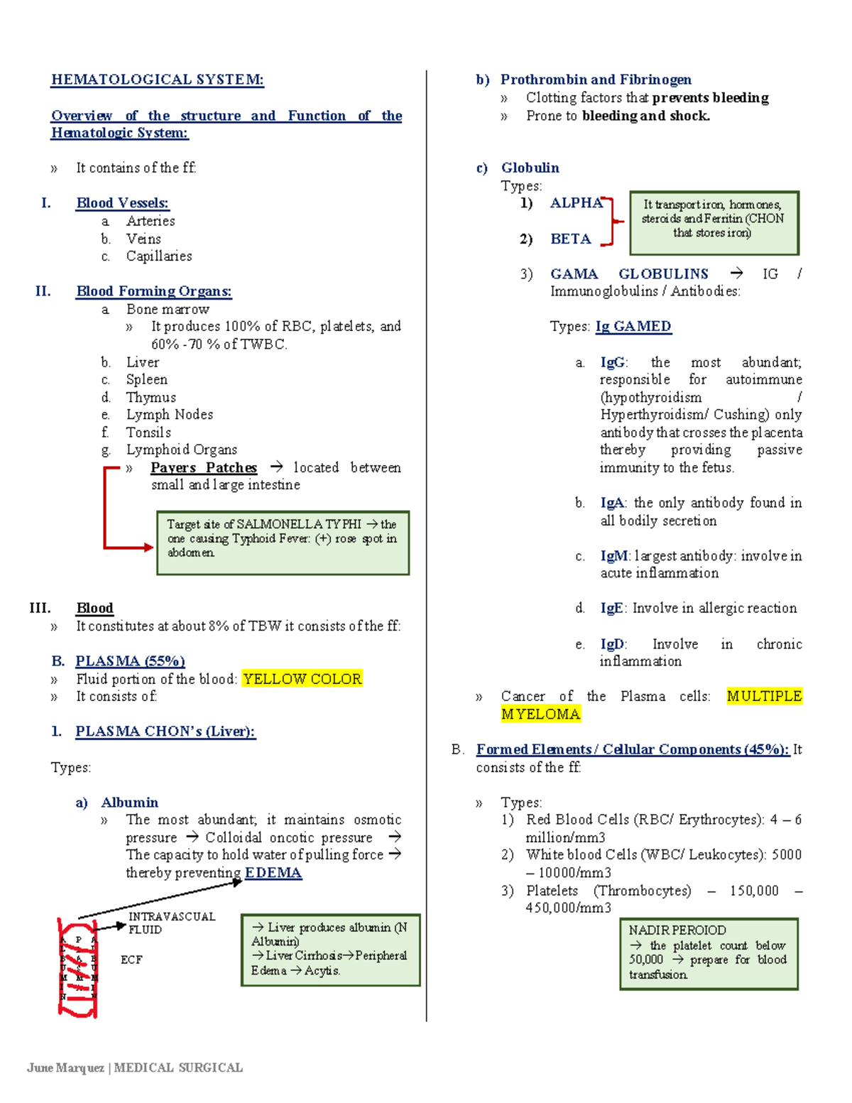 HEMATOLOGICAL SYSTEM: Structure & Function Overview (MEDICAL SURGICAL) - Studocu