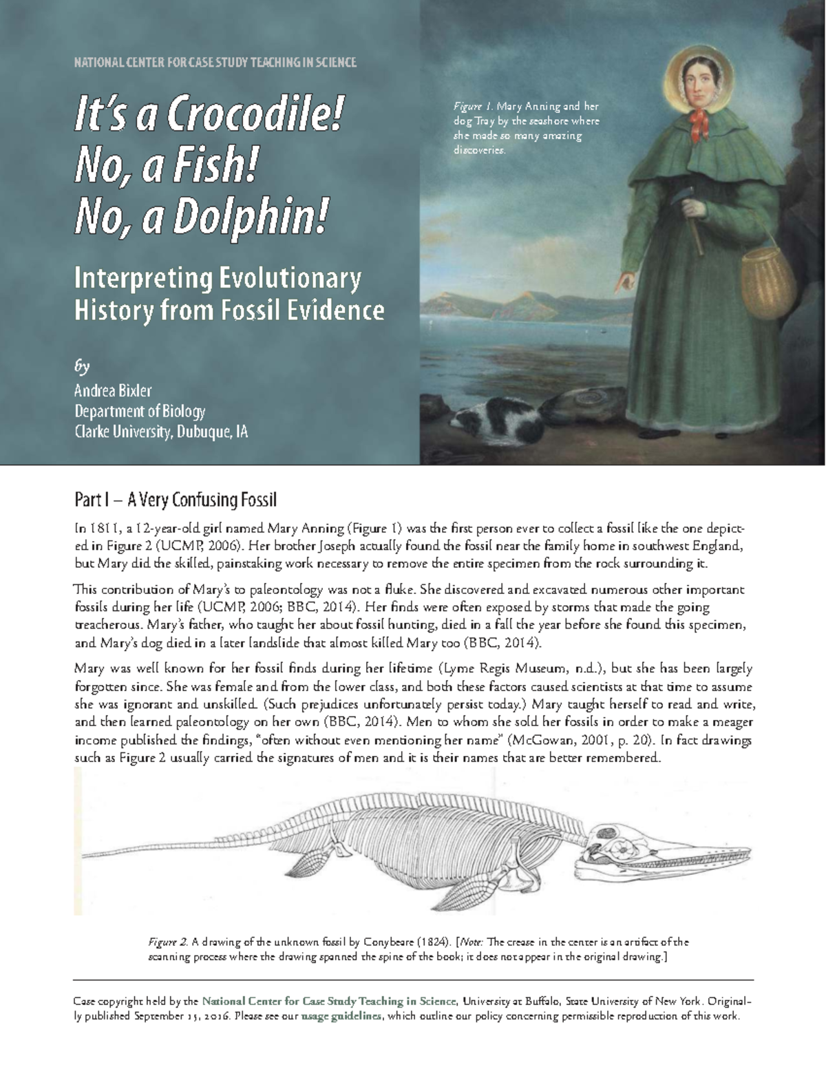 Interpreting Fossil Evidence: Is It a Crocodile, Fish, or Dolphin? (BIO ...