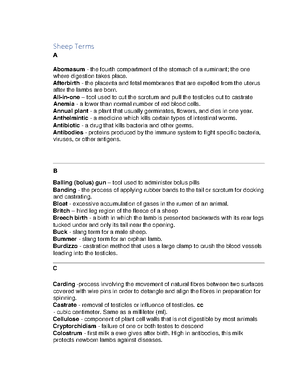 Understanding Sheep Handling: Facilities, Restraint, and Care ...