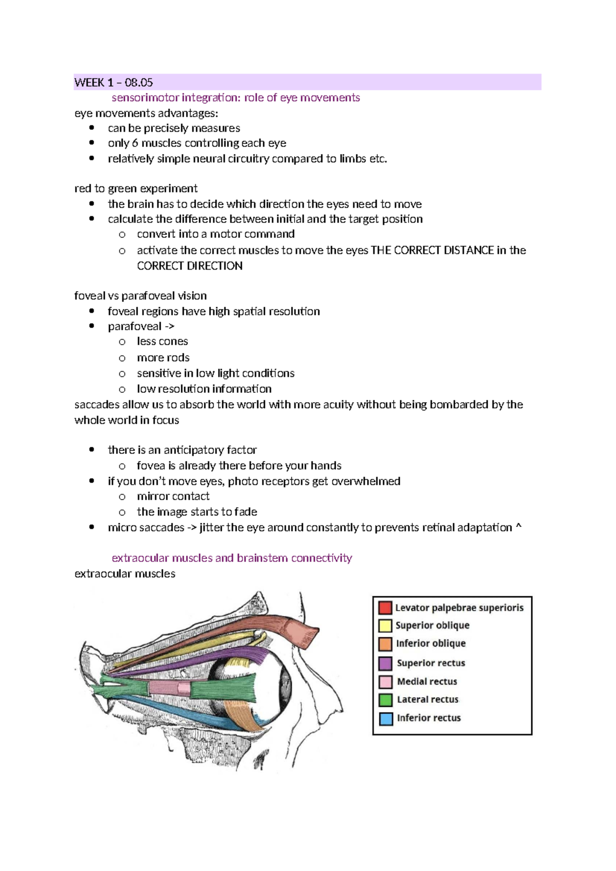 WEEK 1 LECTURE: Sensorimotor Integration & Eye Movements Overview - Studocu