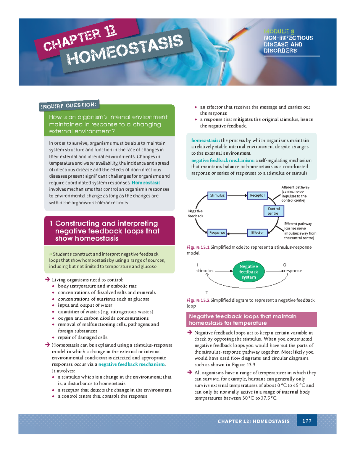 HSC Biology: Chapter 13 - Homeostasis and Feedback Mechanisms - Studocu