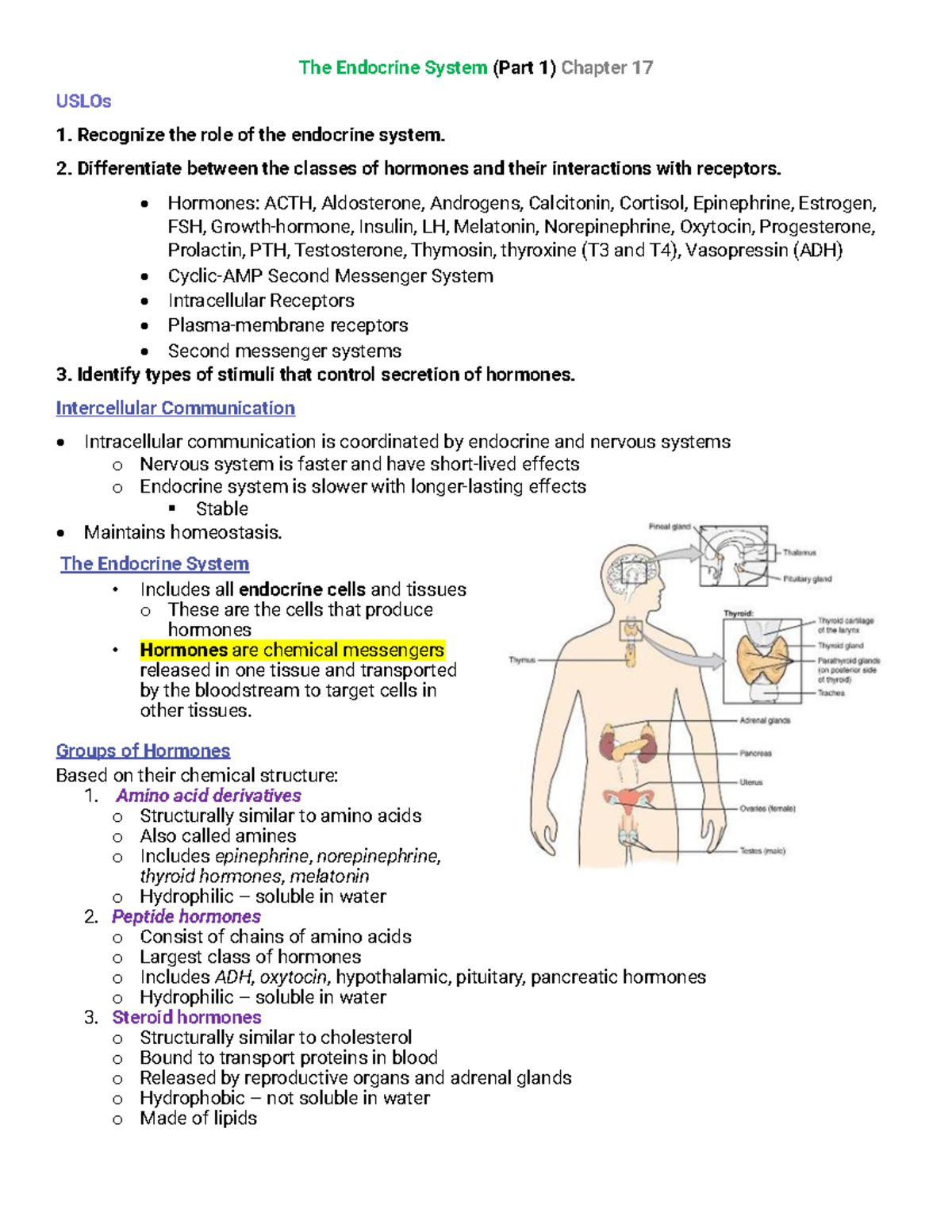 BIO-1300 Endocrine System Lecture Notes: Hormones & Their Functions ...