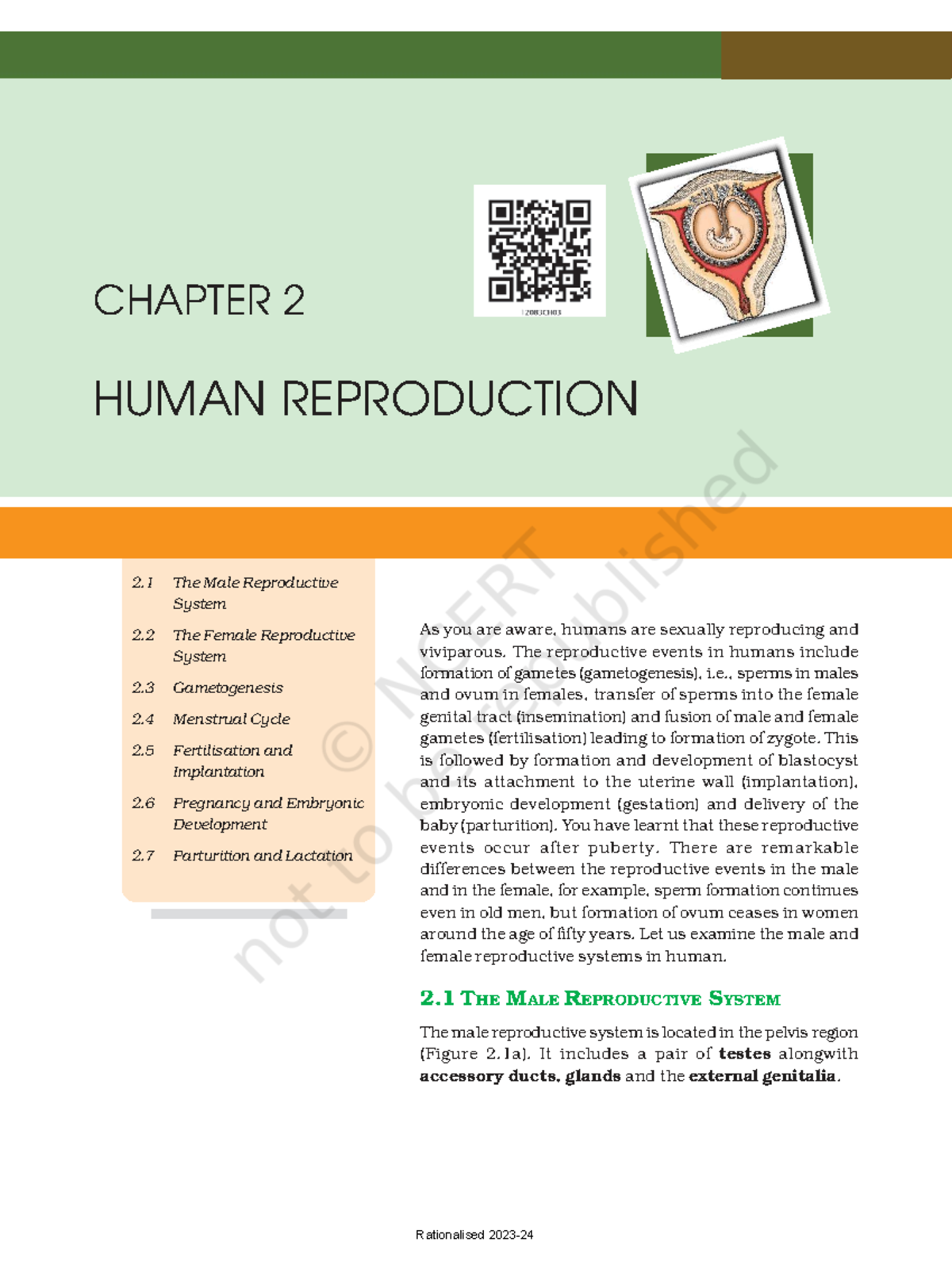 CHAPTER 2: HUMAN REPRODUCTION - MALE & FEMALE REPRODUCTIVE SYSTEMS ...