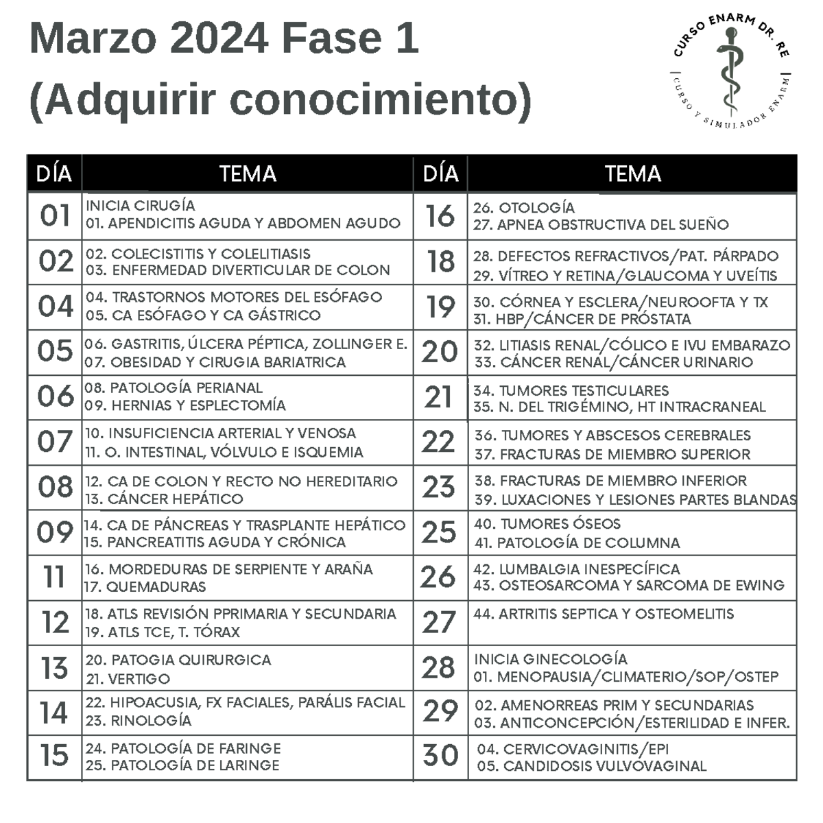 Hoja De Trabajo De Disección De Feto De Cerdo Primerizas: Tips Para