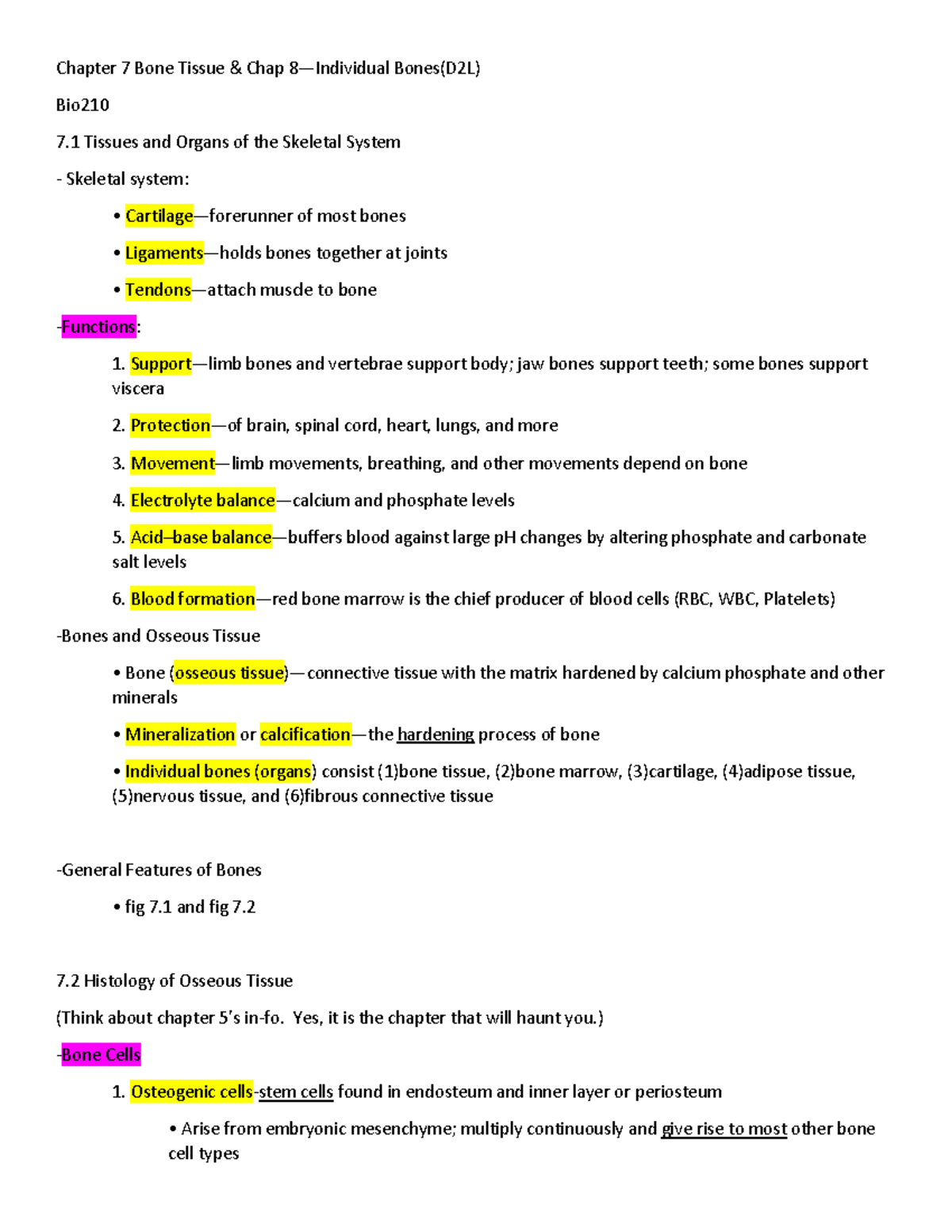 Chapter 7: Bone Tissue Overview - Bio210 Study Notes - Studocu