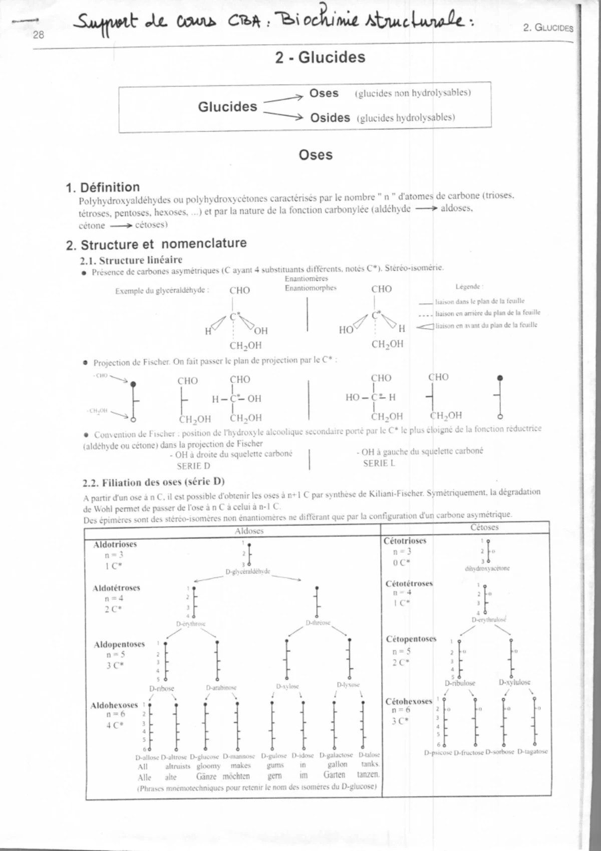 Chimie des sucres - Cours sur les glucides et leurs structures - Studocu
