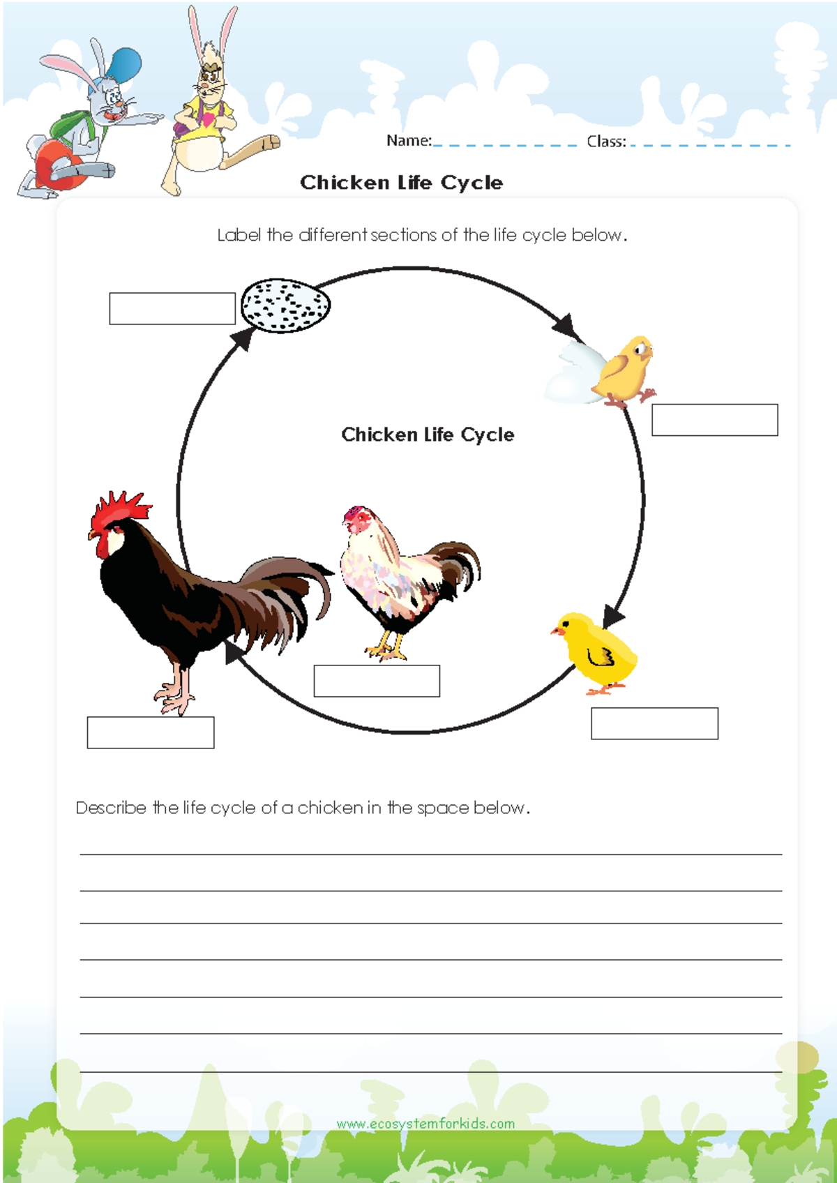 more science worksheets for practice - ecosystemforkids Name: Class ...