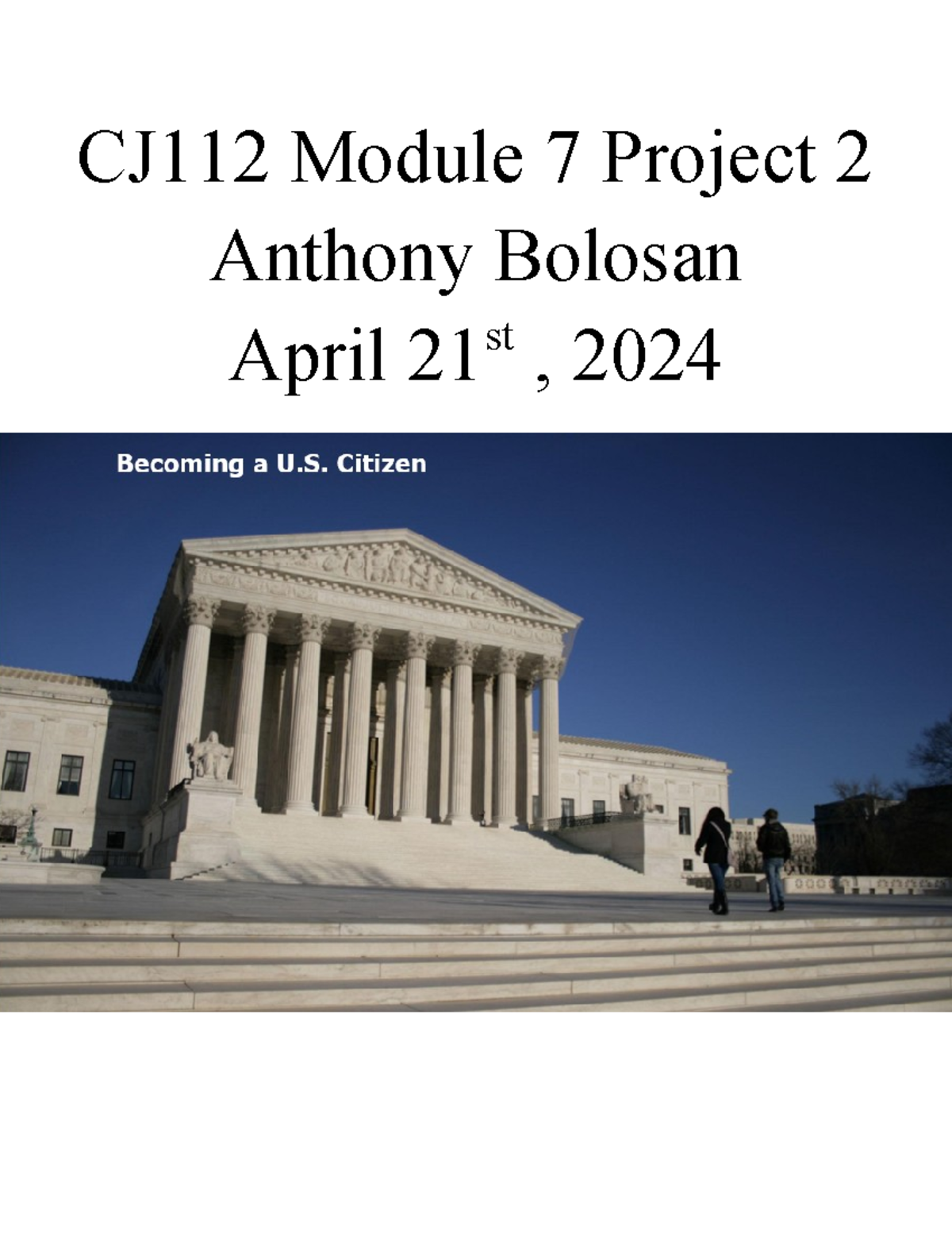 CJ 112 Module 7 Project 2: Understanding the US Criminal Justice System ...