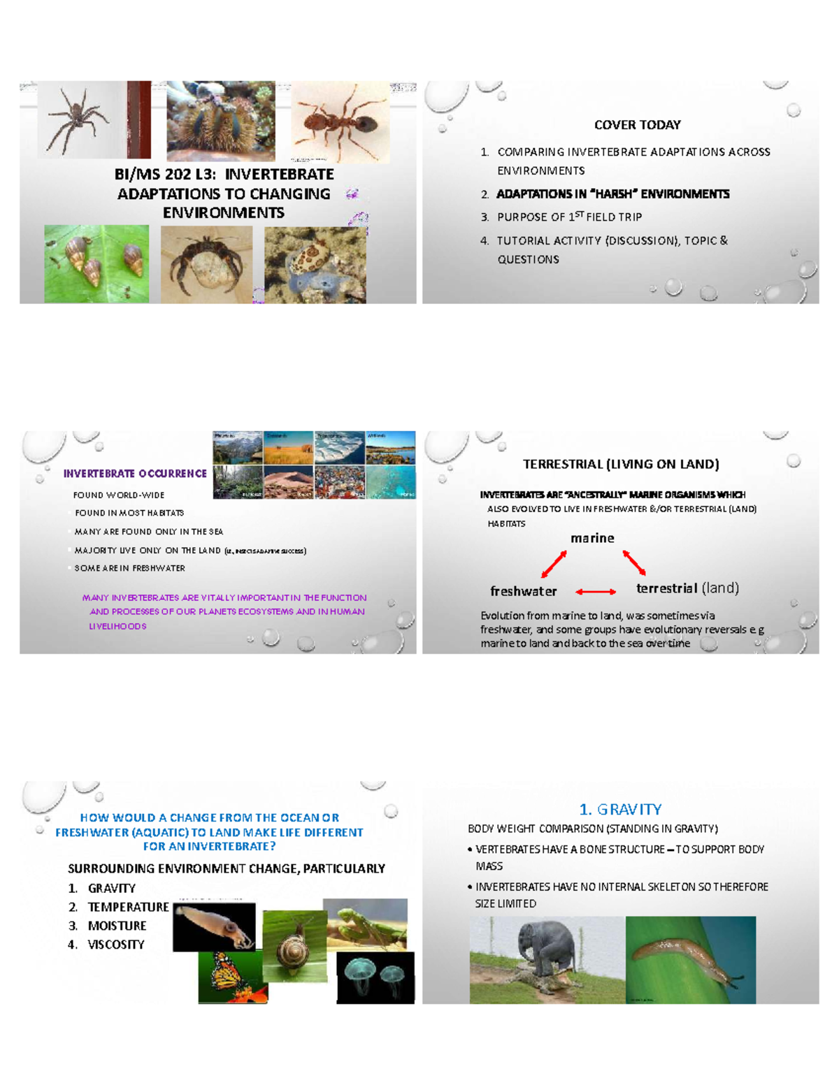 BI/MS 202 L3: Invertebrate Adaptations to Changing Environments - Studocu