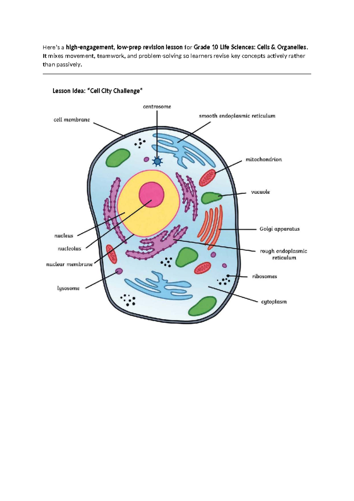Grade 10 Life Sciences: Cells & Organelles Revision Lesson Plan - Studocu