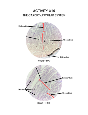 Microtomy - HSTCYT1 LCE SECTIONING / MICROTOMY HISTOPATH – LEC ...