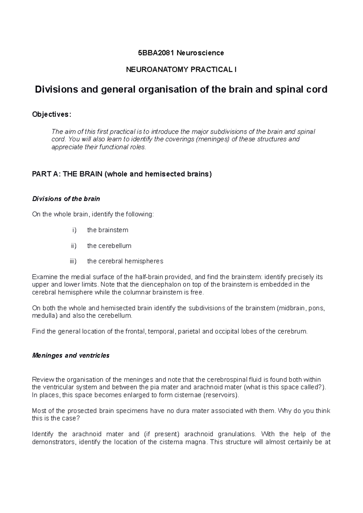 5BBA2081 P1 worksheet - KWMSK - 5BBA2081 Neuroscience NEUROANATOMY ...