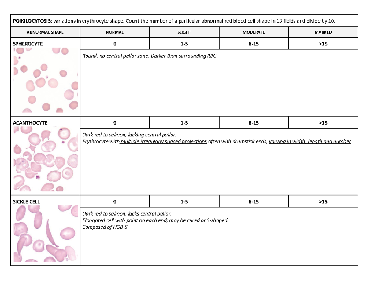 Rbc Morphology Anisocytosis Present