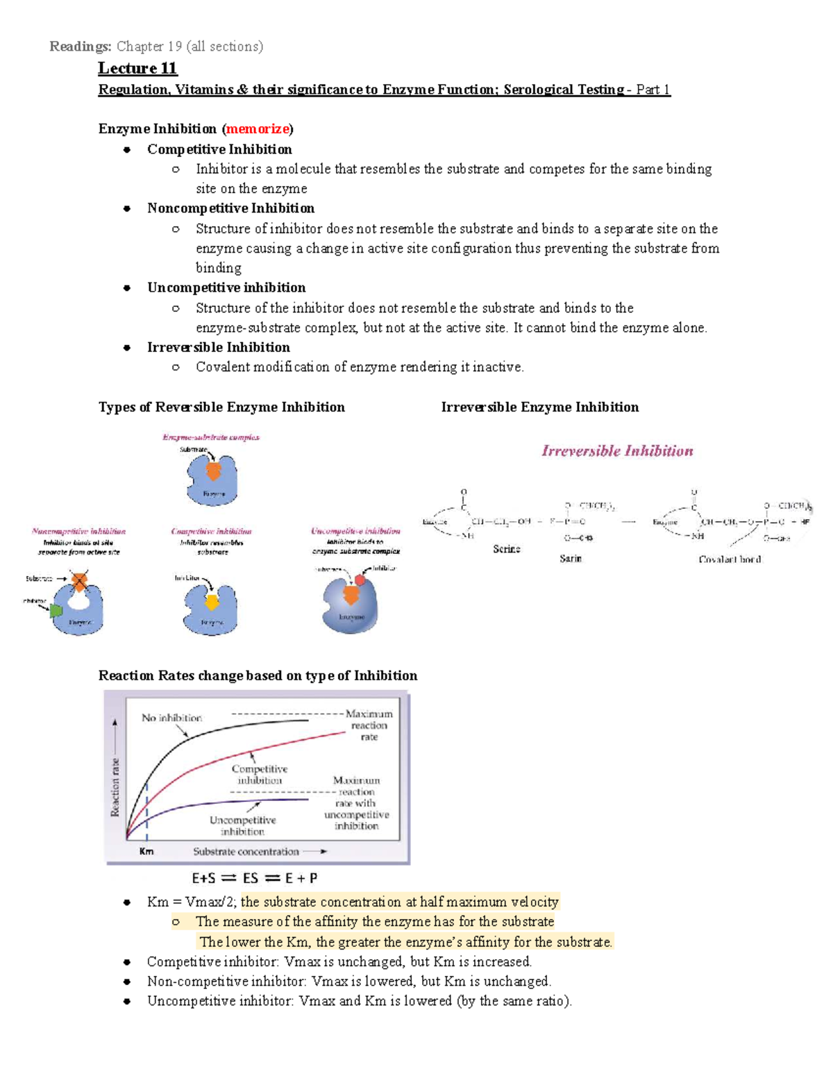 Biochem Notes Chapter 19 Enzyme Regulation Vitamins Overview For