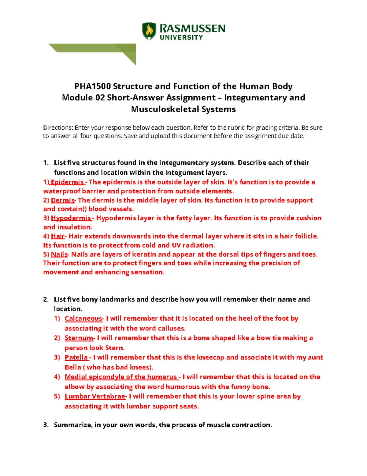 Mod2shrt - Module 2 - PHA1500 Structure and Function of the Human Body ...