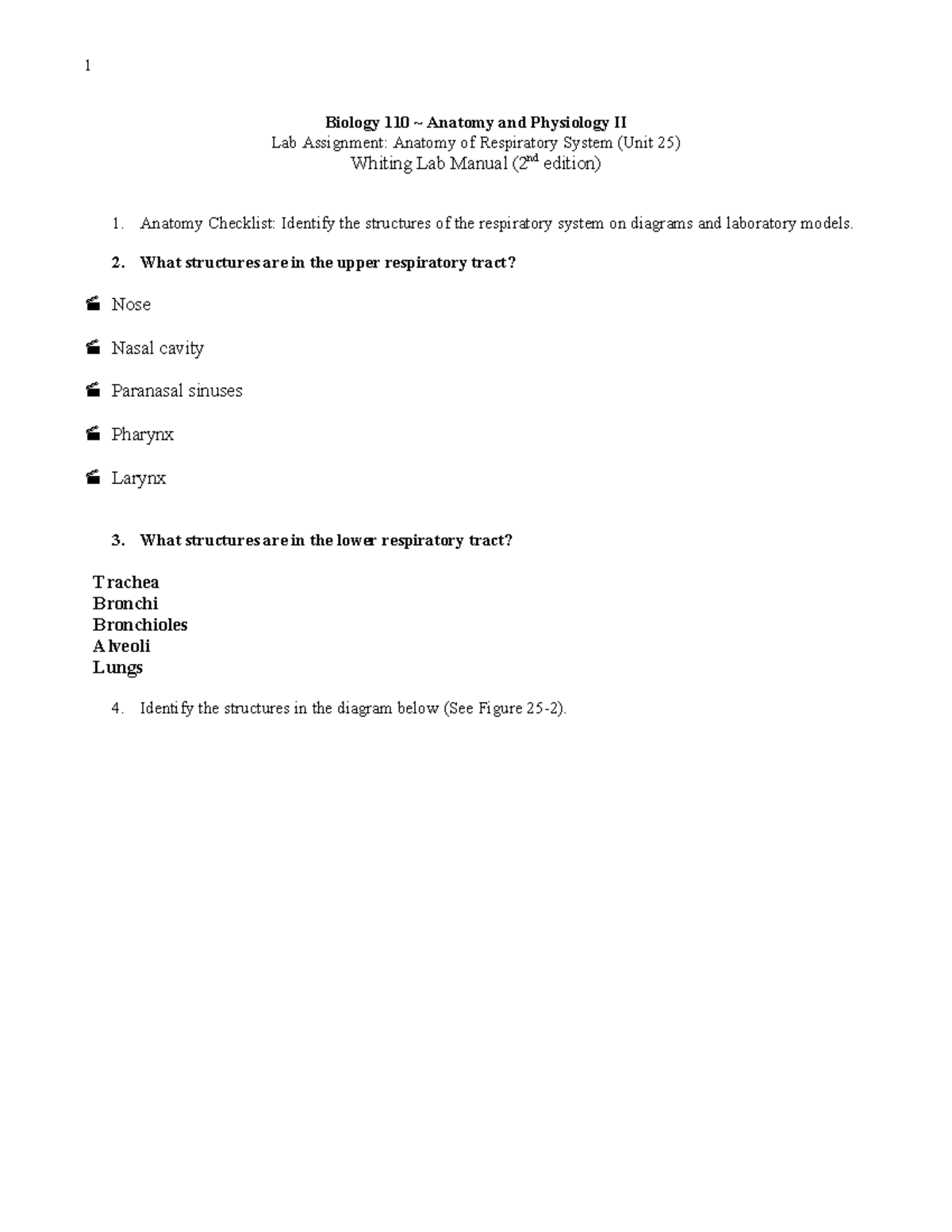 Biology 110 Lab Assignment: Anatomy of the Respiratory System - Studocu