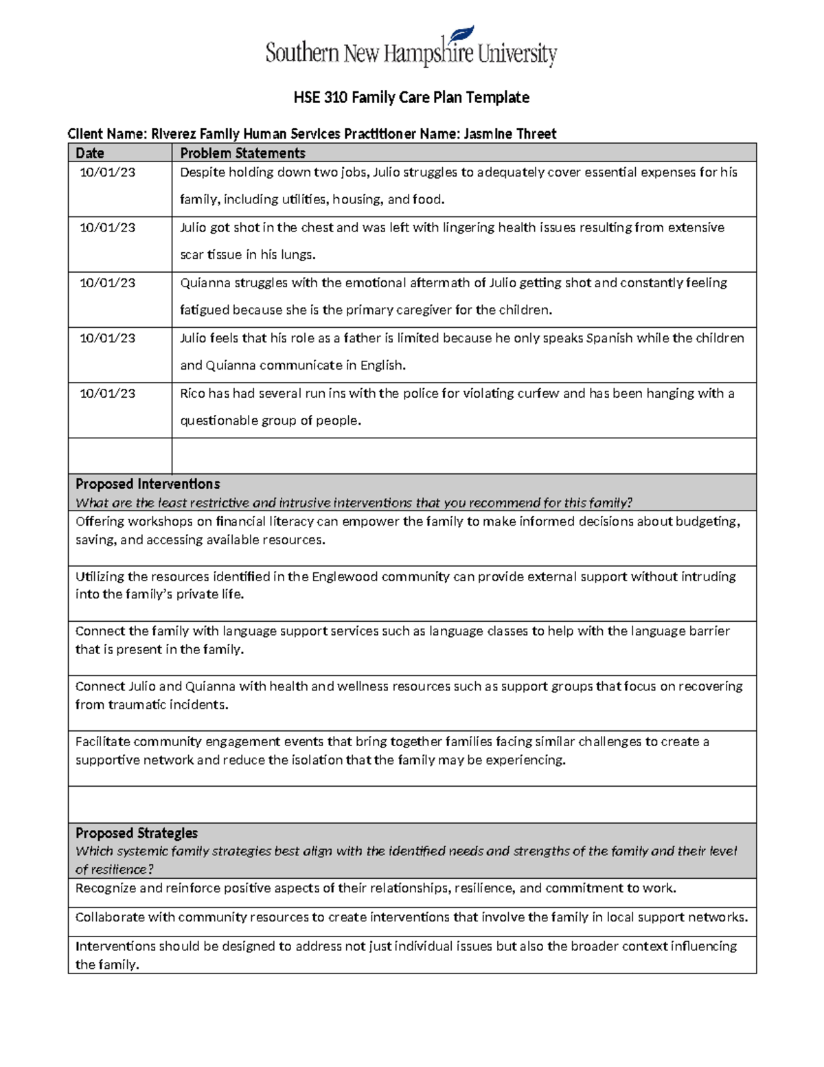 HSE 310 Family Care Plan Template: Strategies & Resources for Family ...