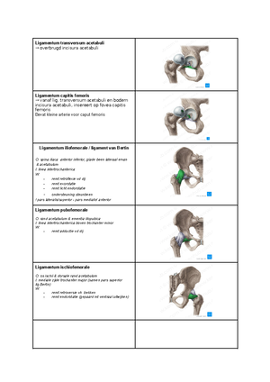 [Solved] wat is het verschil tussen intraperitoneel en retroperitoneaal ...