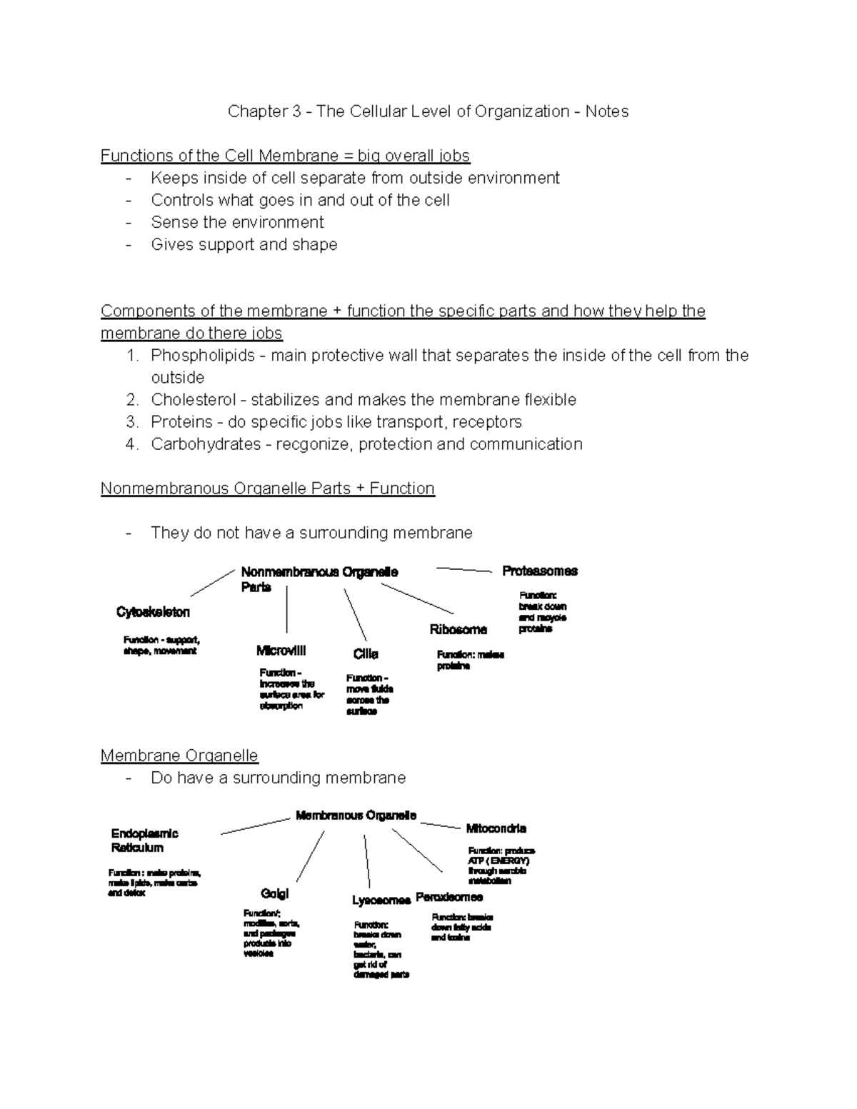 Chapter 3 - The Cellular Level of Organization: Study Notes - Studocu