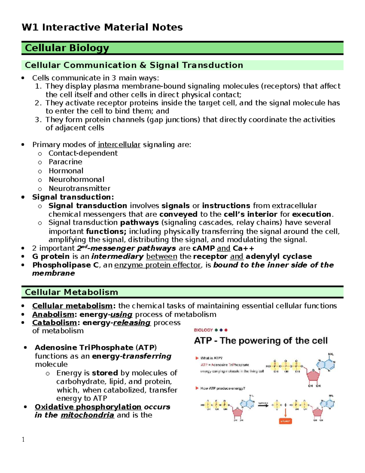 W1 Cellular Biology: Interactive Notes on Communication & Metabolism ...