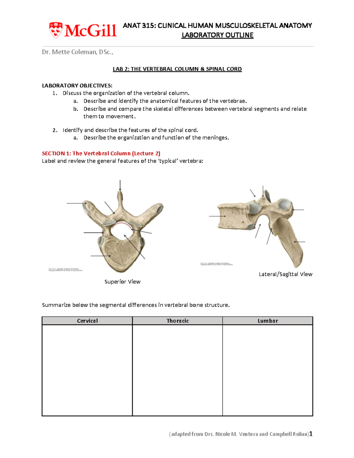 ANAT 315: Lab 2 - The Vertebral Column & Spinal Cord Overview - Studocu