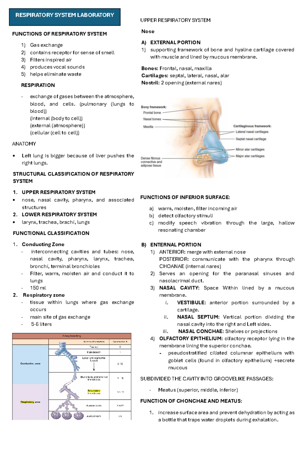 Respi%20 Anaphy%20LAB - FUNCTIONS OF RESPIRATORY SYSTEM Gas exchange ...
