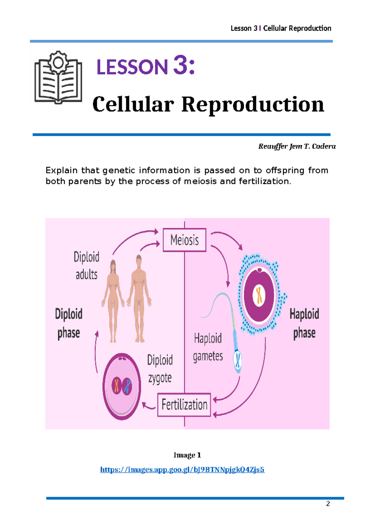 Lesson 3: Cellular Reproduction in Sci 103 Module-LP - Studocu