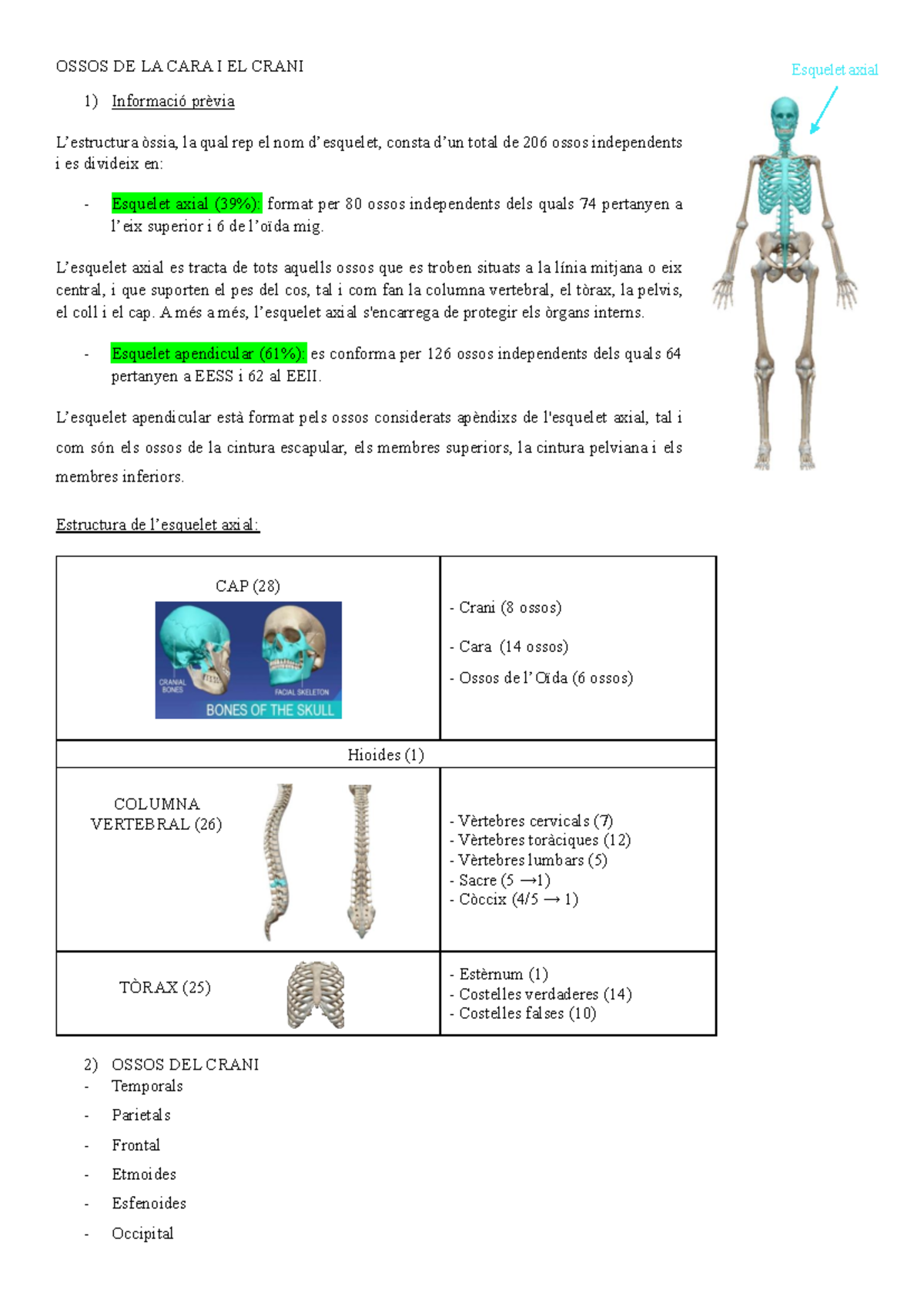 T-1. Ossos de la cara i del crani - OSSOS DE LA CARA I EL CRANI ...
