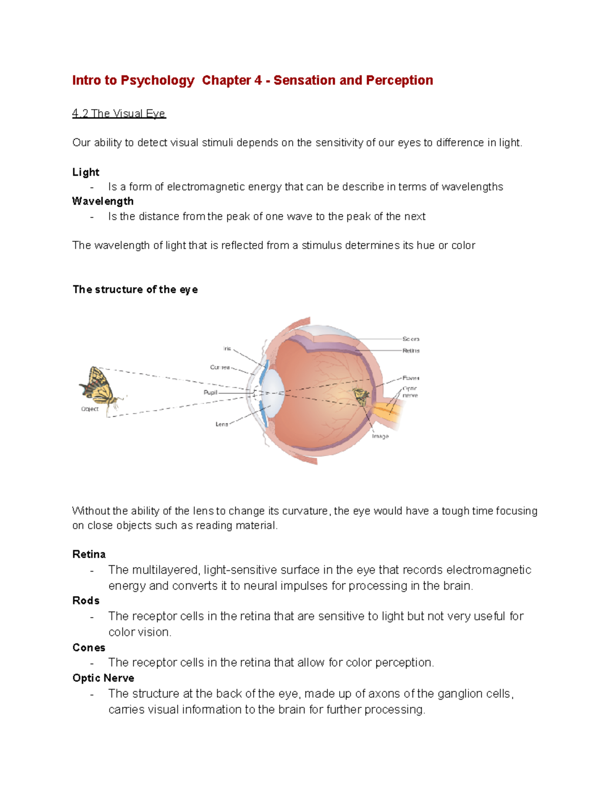 Psychology Chapter 4.2 - The Visual Eye - Intro to Psychology Chapter 4 ...