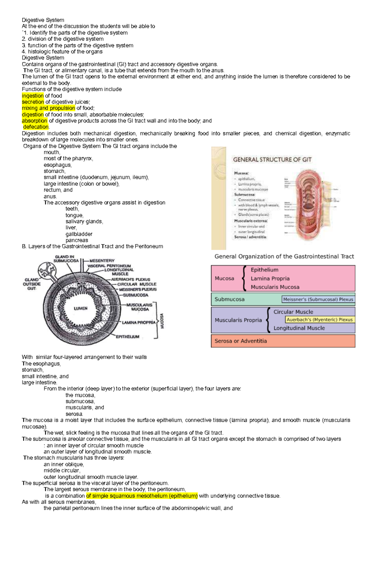 Digestive System 2023 - Comprehensive Review of GI Anatomy & Functions ...