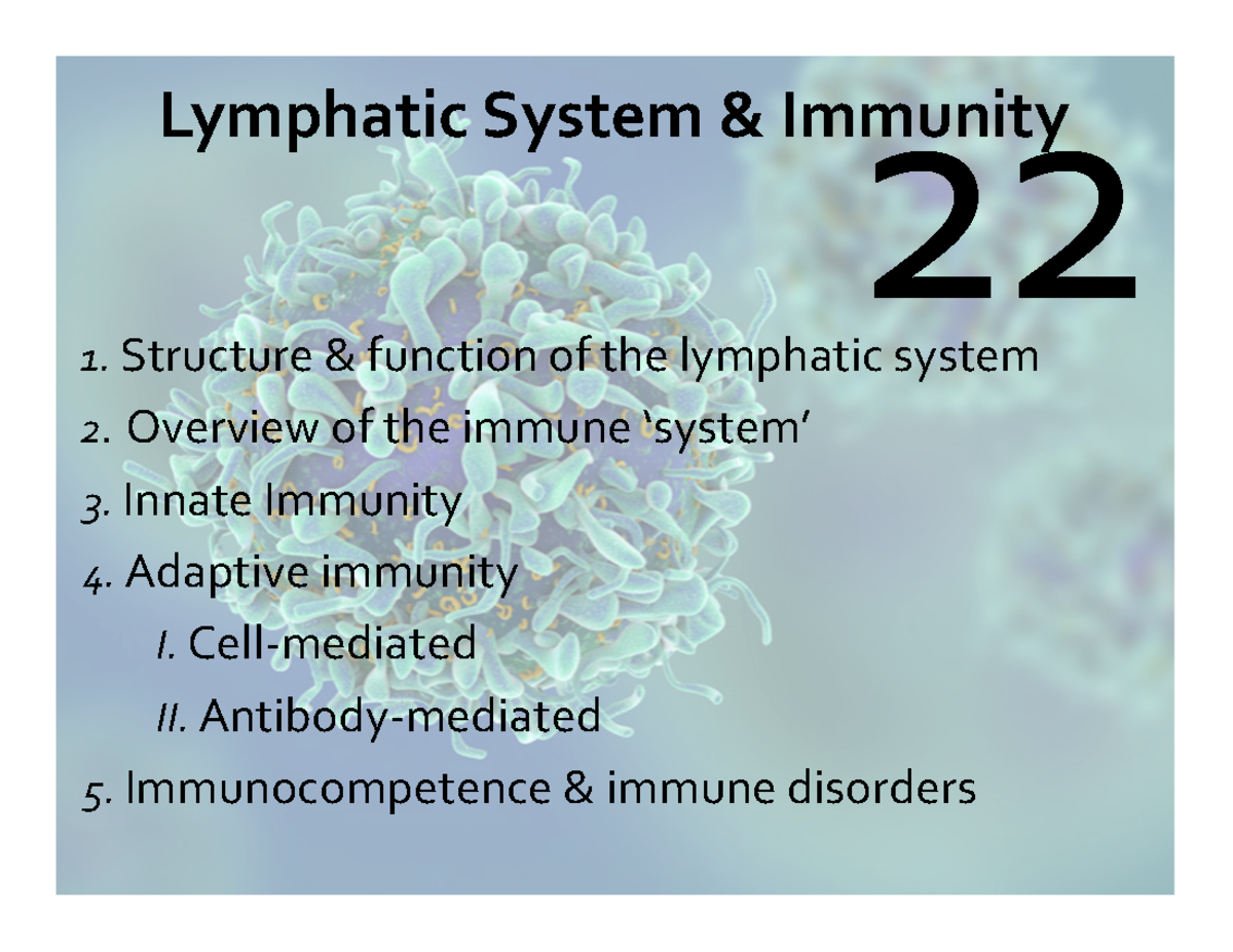 Adaptive Immunity Overview: B-Cell & T-Cell Functionality (TMCC224 ...