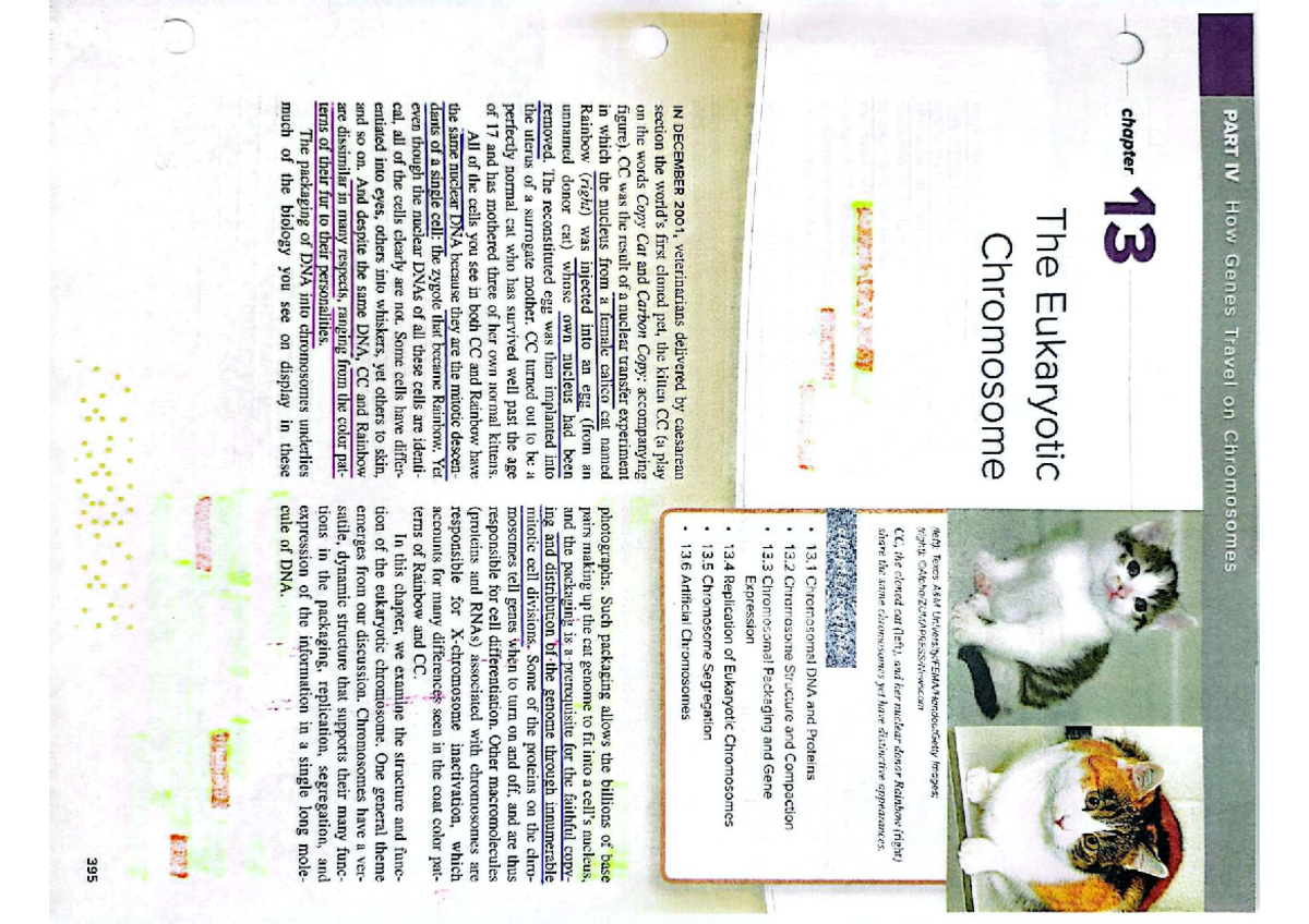 Chapter 13: Eukaryotic Chromosome Structure and Function Analysis - Studocu