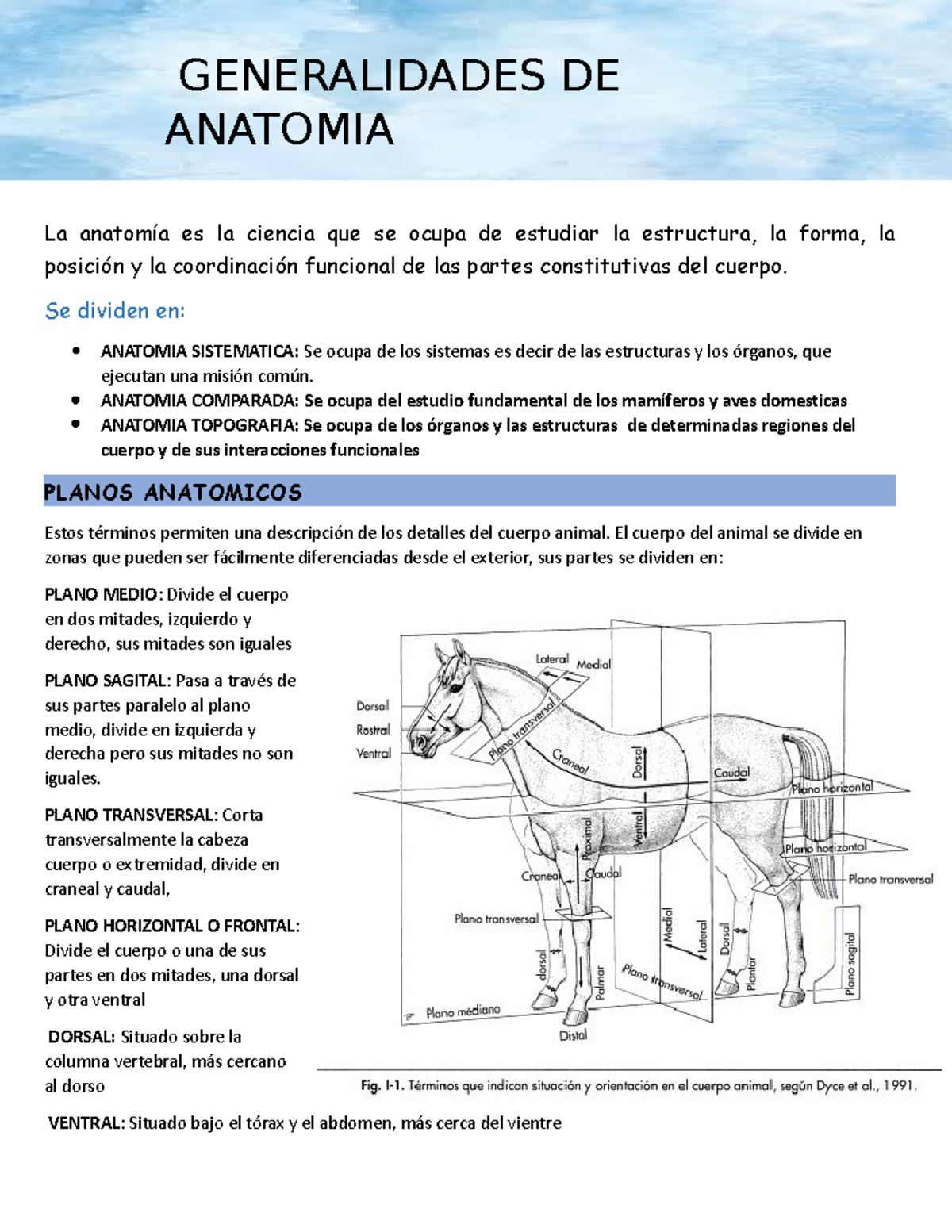 Anatomía Comparada Veterinaria ANATOMIA DEL AVE Para Medicina