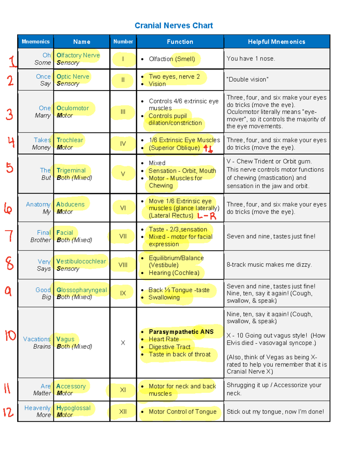 Cranial Nerves Chart