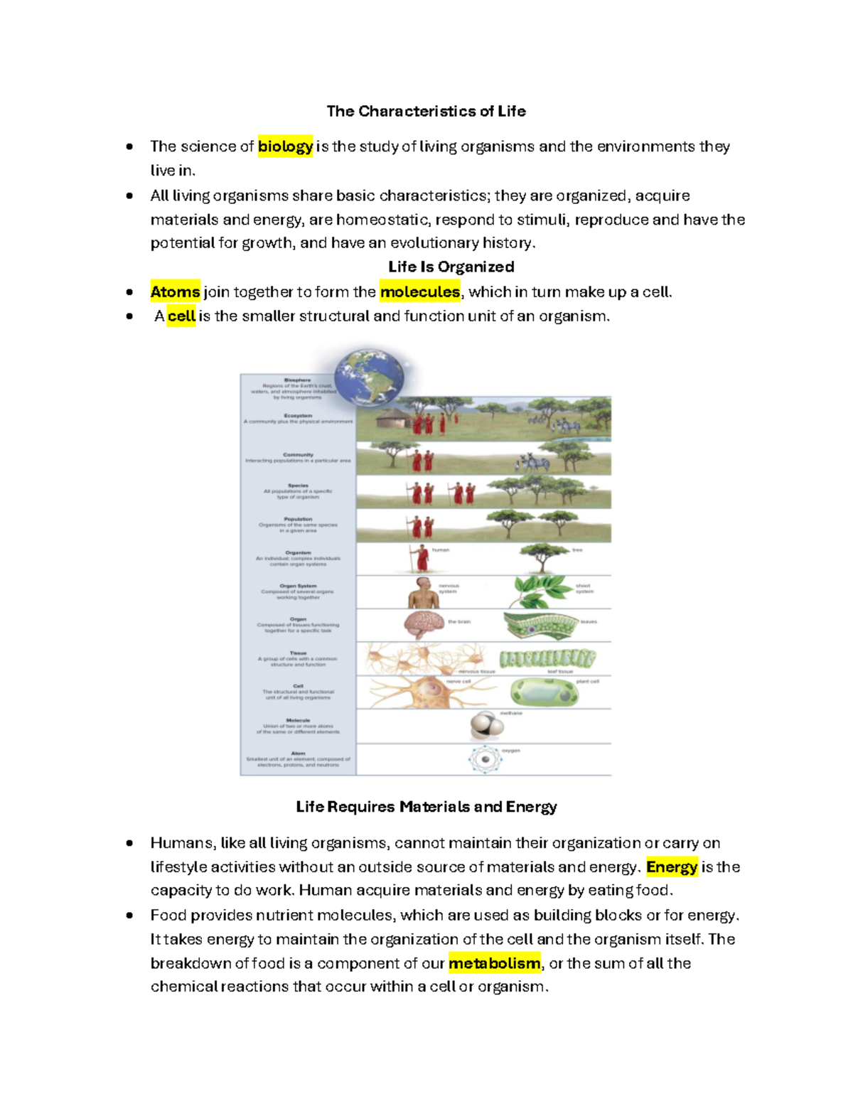 Biology 101: Characteristics of Life and Human Heritage Overview - Studocu