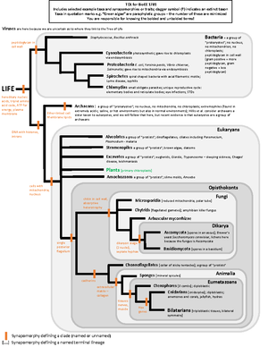 Phylogenetic Tree Practice - TRAIT 1 TRAIT 2 TRAIT 3 TRAIT 4 TRAIT 5 TRAIT 6 TAXON A 0 0 0 0 0 0 ...