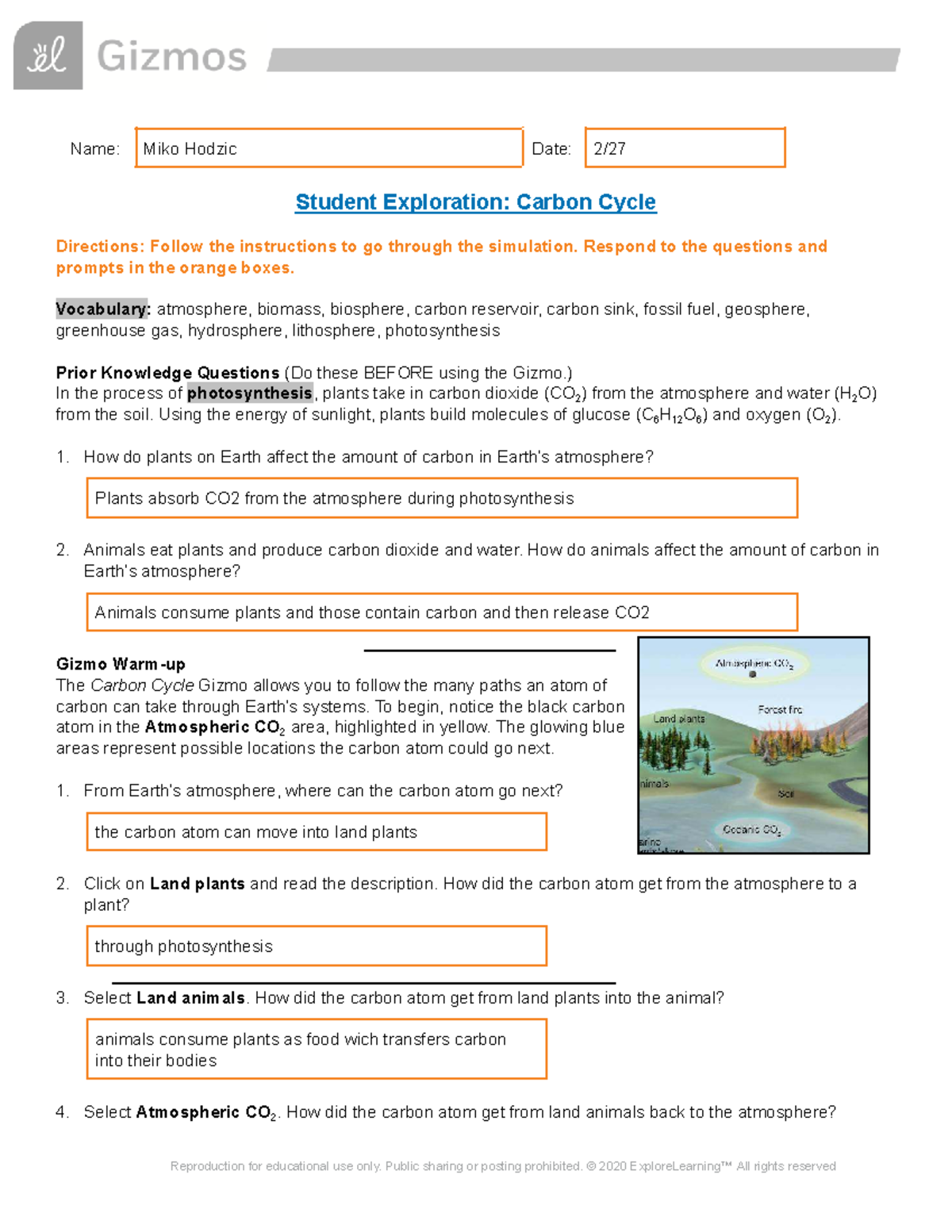 Copy of Carbon Cycle SE - answers - Name: Miko Hodzic Date: 2/ Student ...