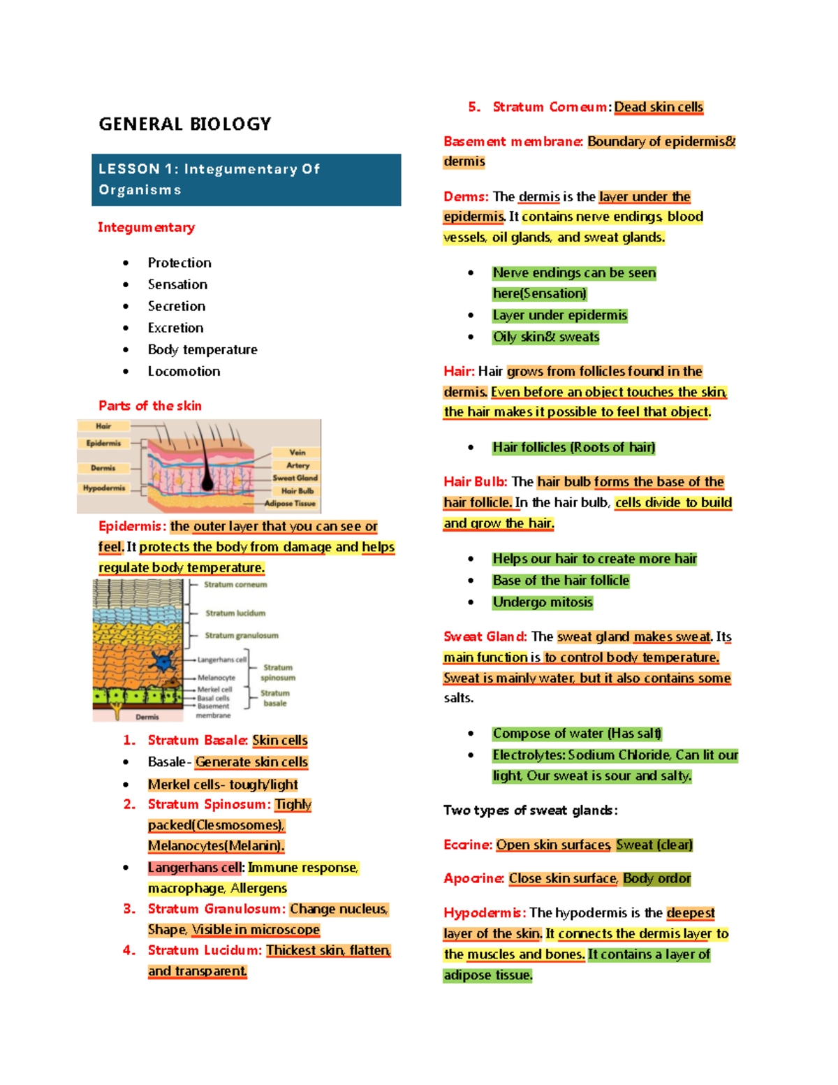 GEN-BIO LESSON 1 & 2: Integumentary & Skeletal Systems Overview - Studocu