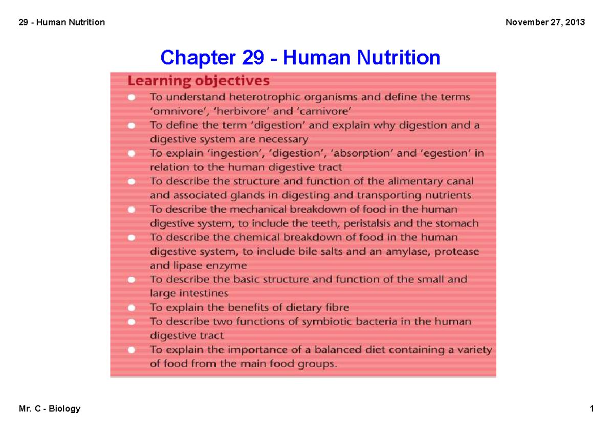 29 Biology 1 Digestive System Class Notes - Human Nutrition - Studocu