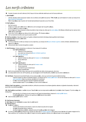 Cours 4 - Anatomie Thoracique - Warning: TT: undefined function: 32 Warning: TT: undefined ...