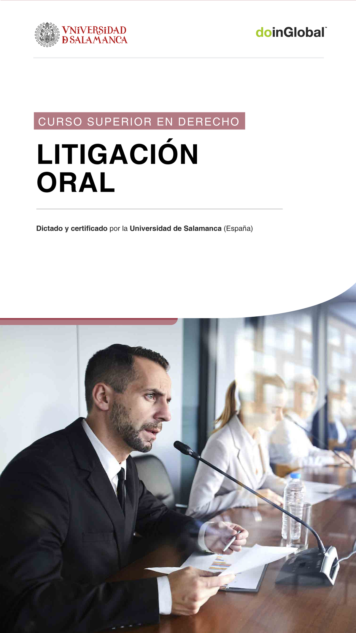 Csdlo - Information - Diccionario - Dictado y certificado por la ...