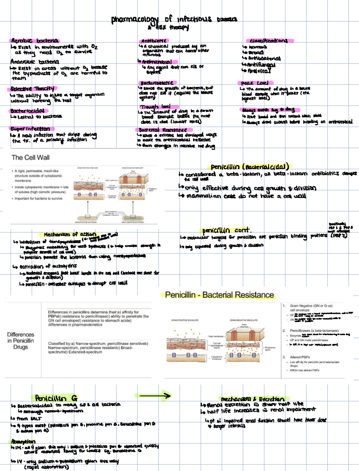 Infectious Diseases and Antibiotics: Pharmacology Insights - Studocu