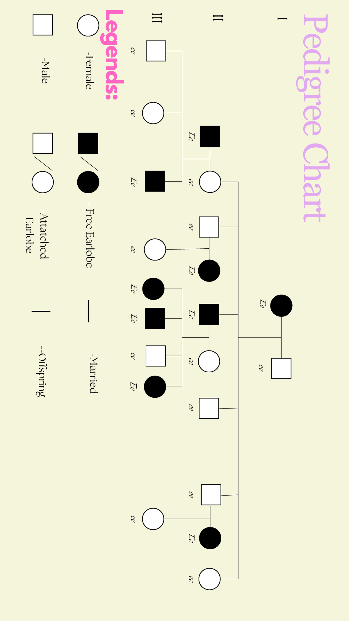 Pedigree Analysis of Earlobe Traits in Genetics (Bio 101) - Studocu