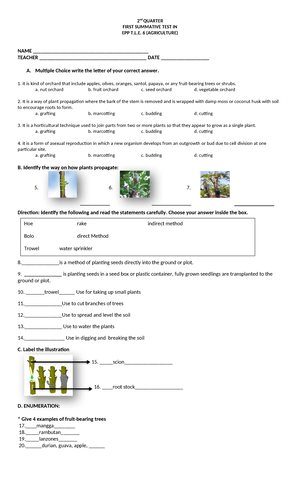 SCI8 Q4 MOD10 - SCIENCE - Science Quarter 4 – Module 10: Roles of Organisms in the Cycling of ...