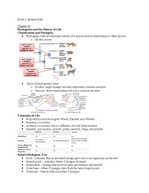 [Solved] Fungi producing the yew tree product paclitaxel is an example ...