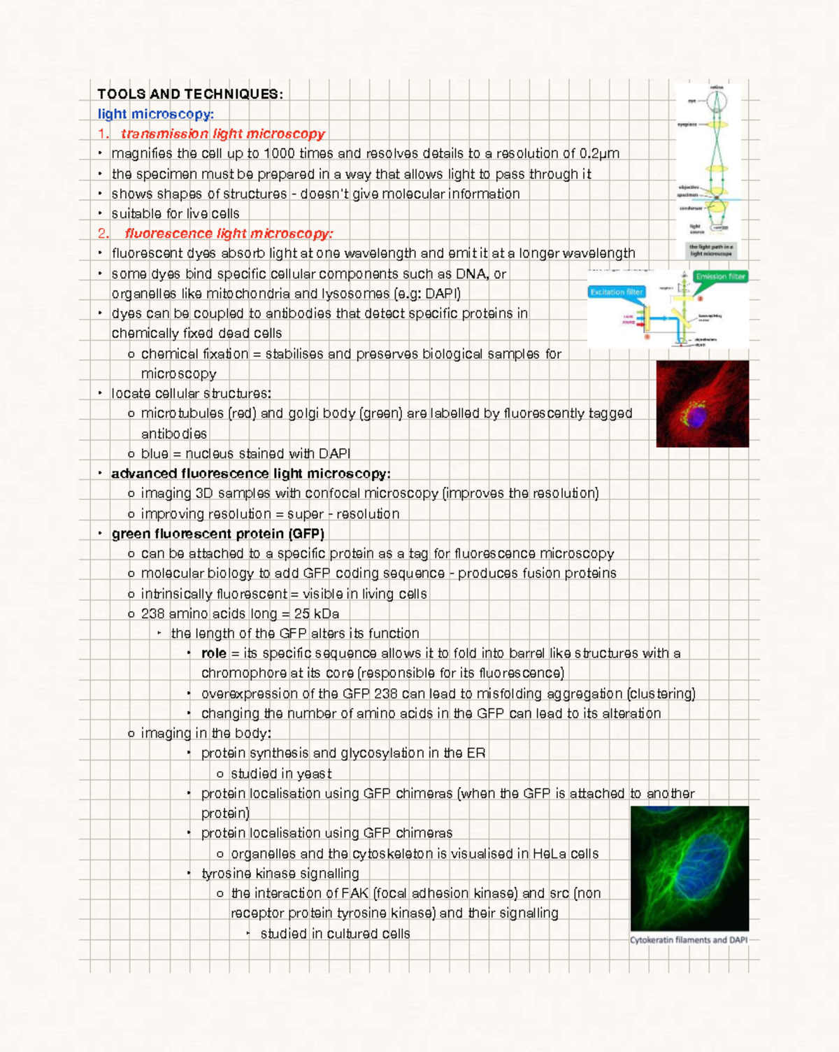 BIOL10232 Final Exam Notes: Light & Electron Microscopy Techniques ...
